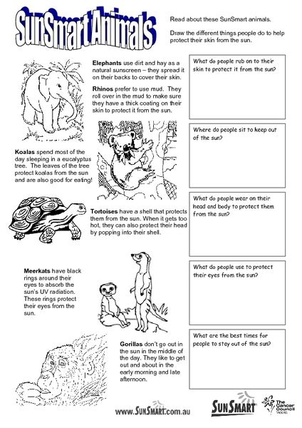 Sun Safety Lesson Plans And Worksheets Lesson Planet Free Download