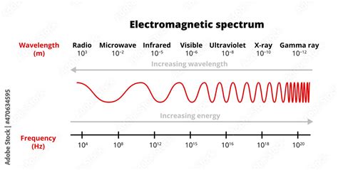 Vector Scientific Illustration Of The Electromagnetic Spectrum – Radio