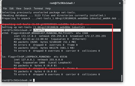 configuring d server on docker container and setting up python