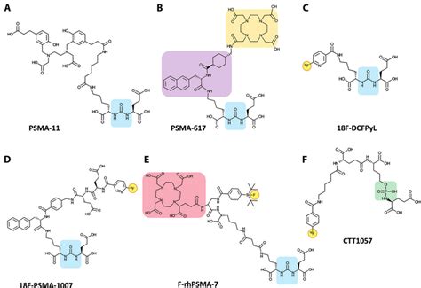 New Psma Targeting Ligands Transformation From Diagnosis 40 Off