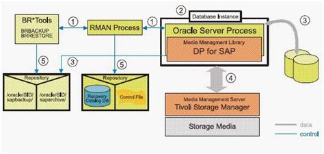 steps to configure sap oracle database backup using tsm for erp tdp