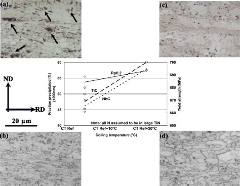 Effect Of The Coiling Temperature On The Microstructure The