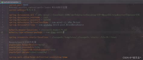 springboot application properties 配置及参数配置详情介绍 spring property制定参数类型 csdn博客