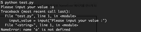 파이썬 nameerror name input is not defined 에러 raw input과 input 차이