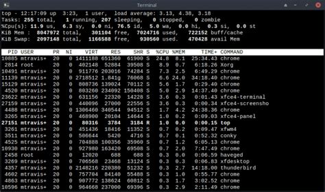 how to use htop to monitor system processes in real time