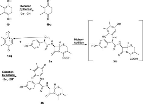 Laccase Catalyzed Substrate Oxidation And Amination Of Oxidized