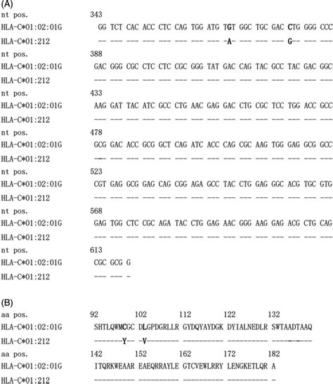 The Nucleotide Sequence A And The Amino Acid Sequence B Of Exon 3