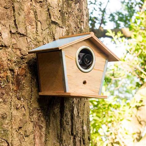 Top Five Places To Hide A Security Camera Outside
