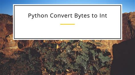 python bytes to int