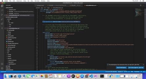 flutnet video player plugin