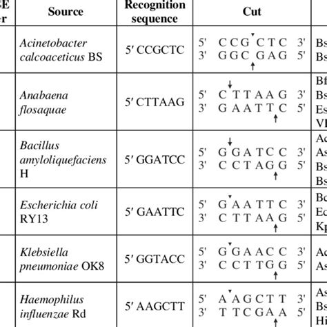 Examples Of Type Ii Restriction Enzymes From The Rebase® Database The
