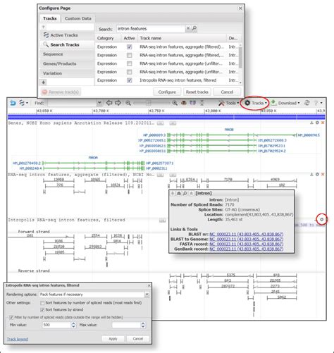 view intron feature evidence in the genome data viewer and sequence