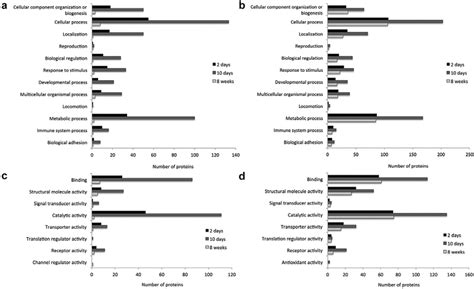 Classification Of Differentially Expressed Proteins Proteins Were