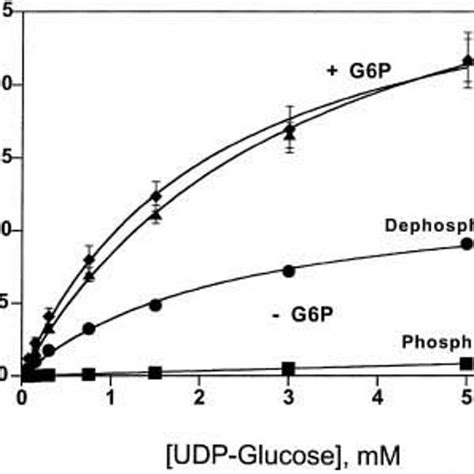 Effects Of Phosphorylation On Udp Glucose Kinetics Glycogen Synthase