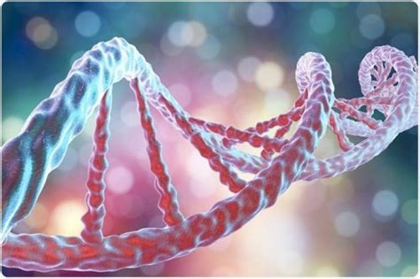 Human Cloning And Its Legal Aspects Ipleaders