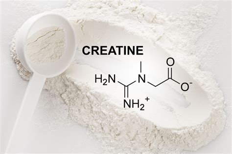 Creatine Bloat Water