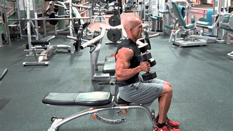 Seated Dumbbell Hammer Curl Youtube