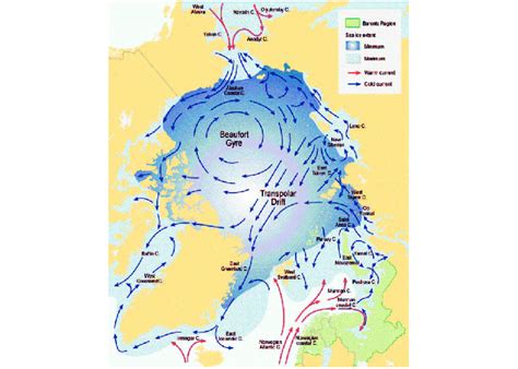 Arctic Ocean Surface Circulation Red Arrows Indicate Warm Atlantic