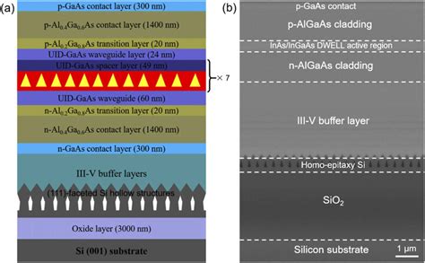 Inas Quantum Dot Laser Diodes On Soi