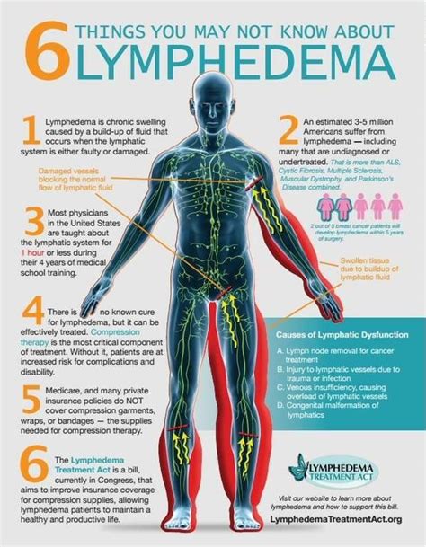 Lymphatic Drainage Massage Riktr Pro Massage Nicola Lmt