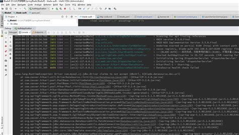 项目运行报错：java lang runtimeexception driver com mysql cj jdbc driver