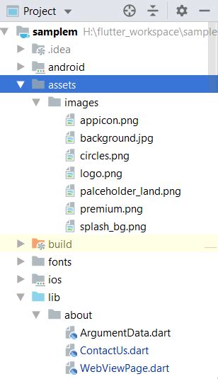 dart flutter how to add a logo image on the left side of appbar