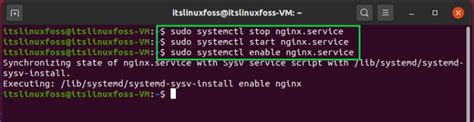how to install moodle learning platform in ubuntu 20 04
