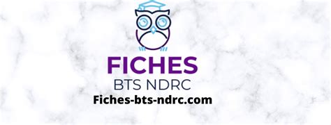 Bts Ndrc Exemple De Fiches E4 Et E6 Pour Bts Ndrc Des Fiches De