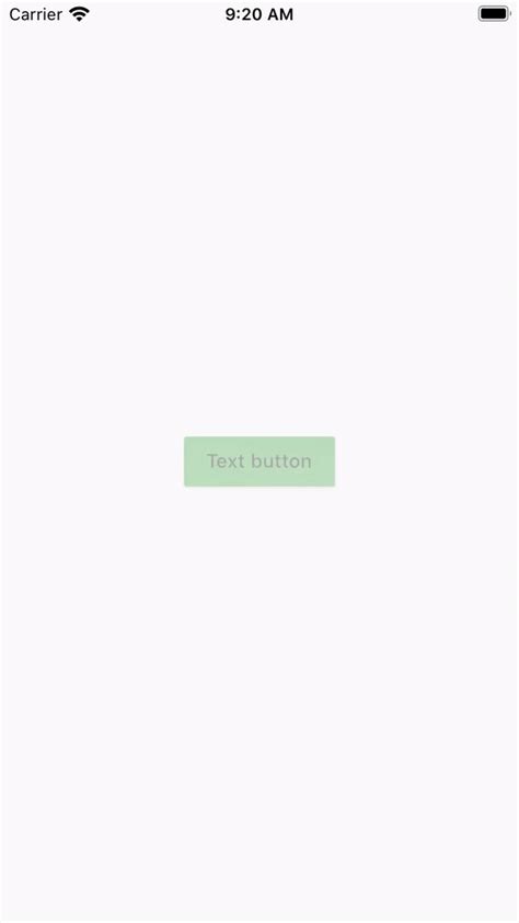 timer flutter blinking button stack overflow