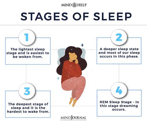 Rem Sleep Cycle Chart