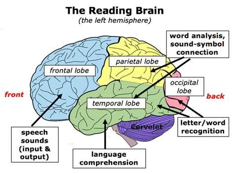 What Is The Science Of Reading We Are Teachers