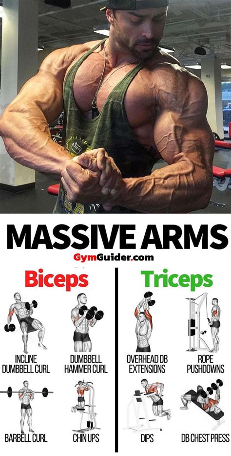The Best Bulging Bigger Biceps Workout To Grow Your Arms Gymguider