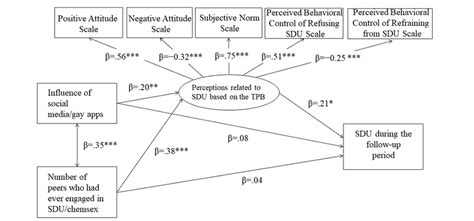 The Proposed Mediation Models With Standardized Path Coefficients P