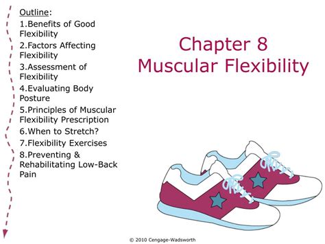 ppt chapter 8 muscular flexibility powerpoint presentation free