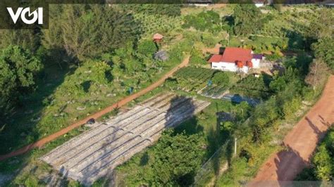203 Dari 400 Hektare Bekas Tambang Di Babel Dilakukan Reklamasi