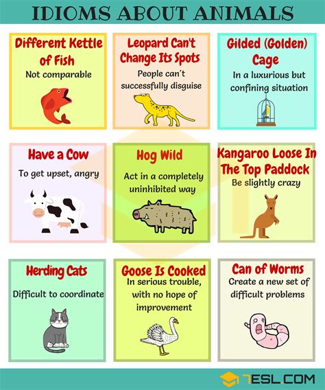 Inspirasi Terkini English Idioms Rak Minimalis