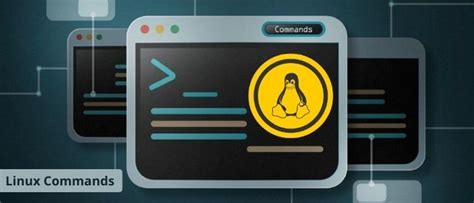 top 10 useful linux commands every linux user must learn