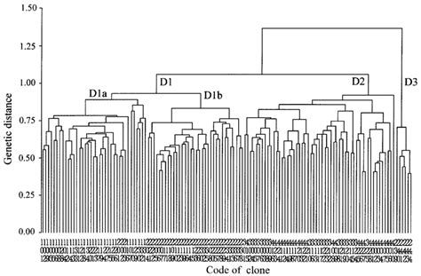the result of upgma cluster analysis of rapd data in zoysia clones