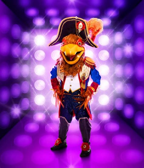 ‘the Masked Singer Season 10 Costumes See The Photos Hollywood Life