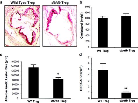 Defective Leptin Leptin Receptor Signaling Improves Regulatory T Cell