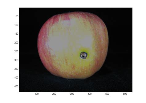 fruit detection matlab source code free download