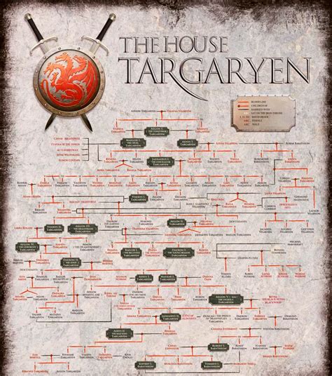 House Of The Dragon Arbre Genealogique Automasites