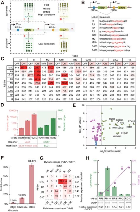 Effects Of Crbss On Biosensor Dynamic Range A The Regulation