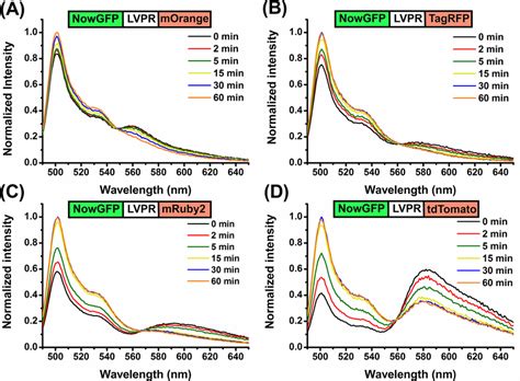 Emission Spectra Of The Fret Constructs Fluorescence Emission Spectrum