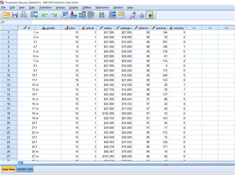 Calculation Of Chi Square Test In Spss Javatpoint