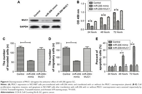 Mir 206 Inhibits Proliferation Migration And Invasion Of Gastr Ott