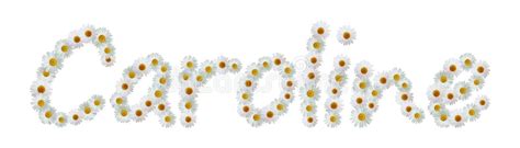 Name Caroline Stock Illustrations 79 Name Caroline Stock