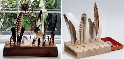 How To Display Feathers 10 Easy Methods 2024