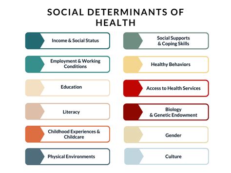 What Are The Social Determinants Of Health Shortlister