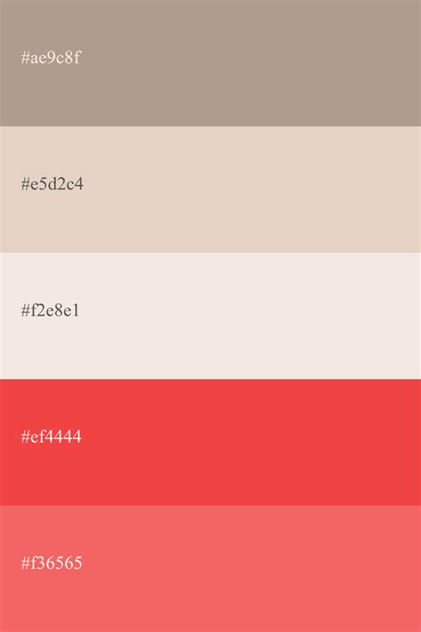 Paleta De Color Nude [códigos Combinaciones]